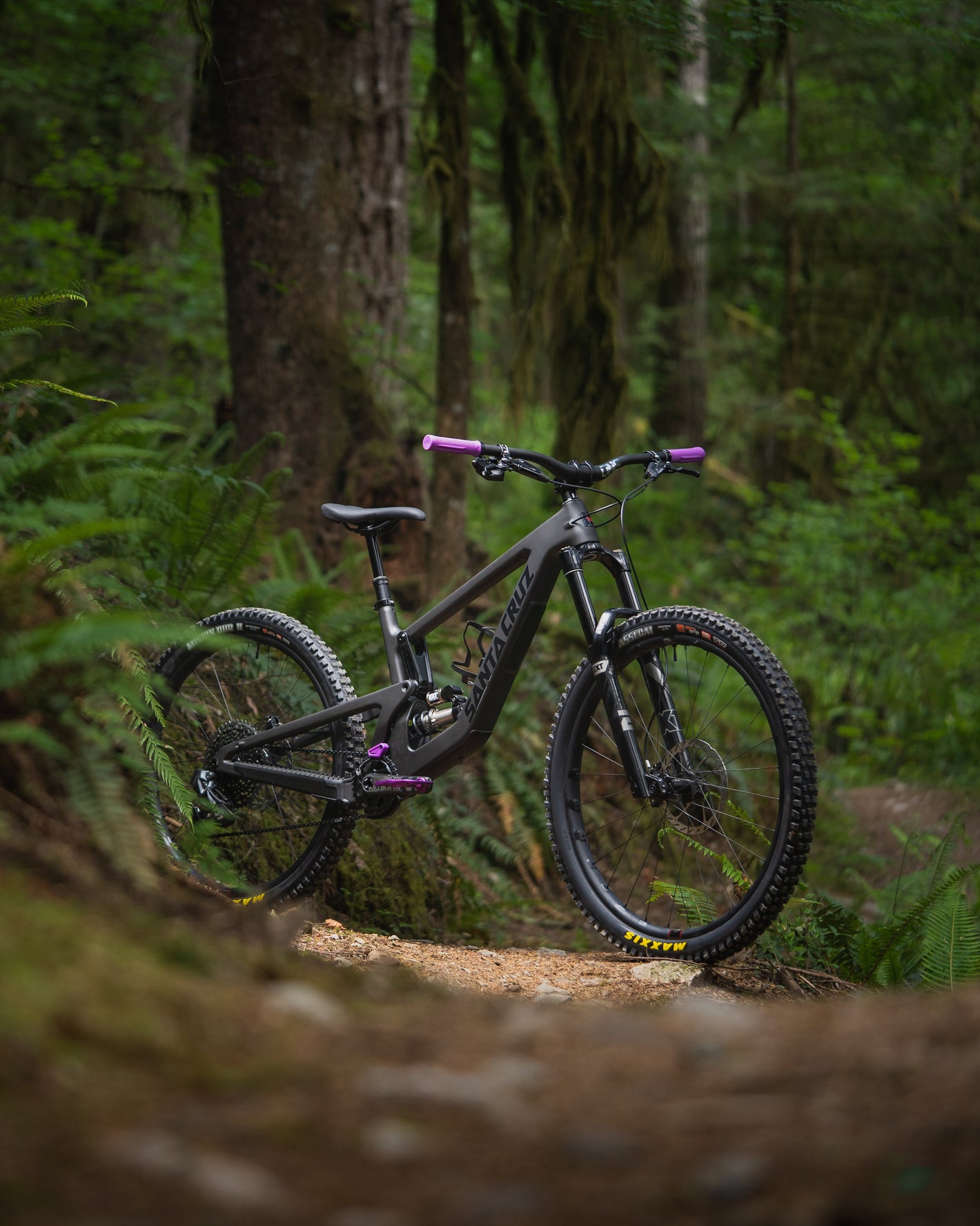 MTB Direct | Australia's best mountain bike store | MTB Direct