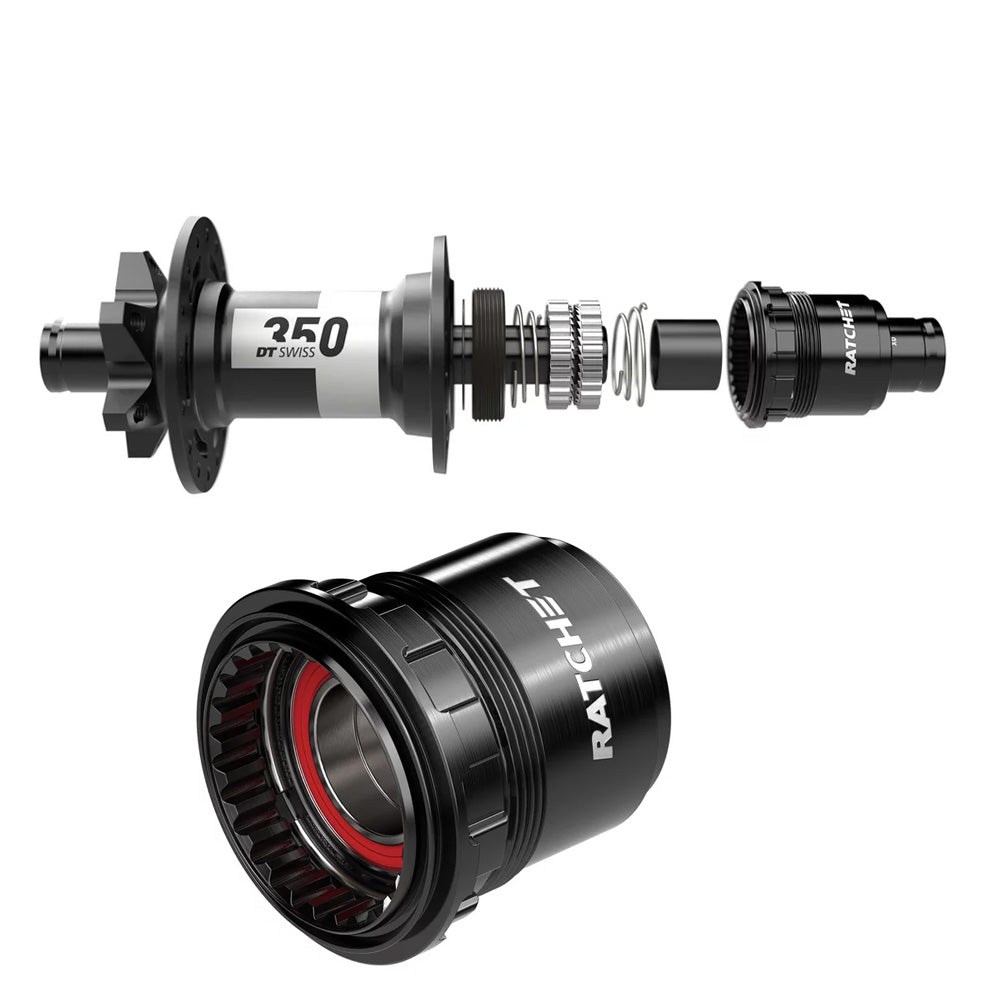 DT Swiss 350 Centrelock Disc Rear Hub | MTB Direct