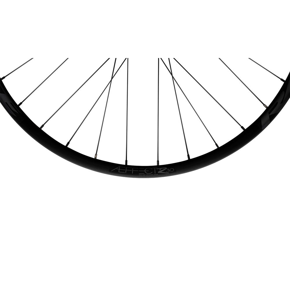 Race Face Aeffect R 30 Front Wheel - 15x110mm Boost - 6 Bolt - Front ...